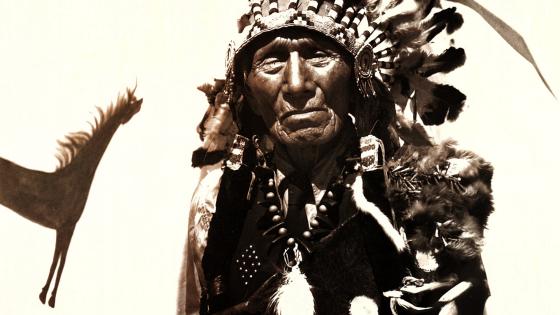What I Learned from Nicholas Black Elk | Focolare Media